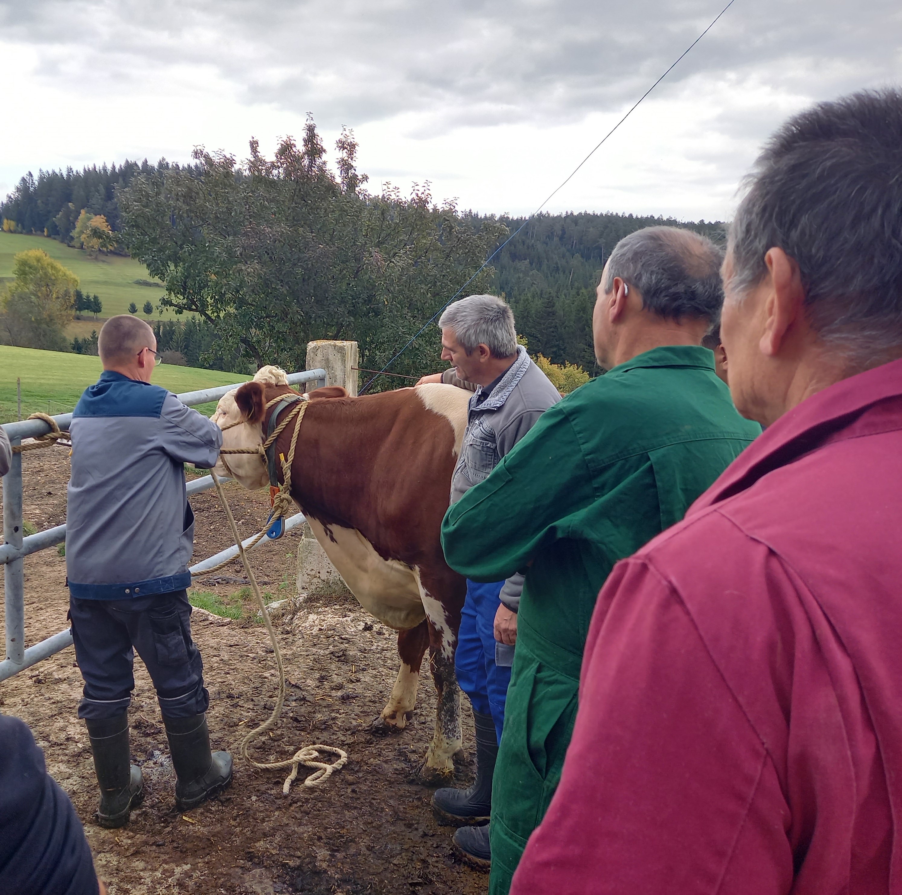 Mensch-Tier-Beziehung - BIO AUSTRIA