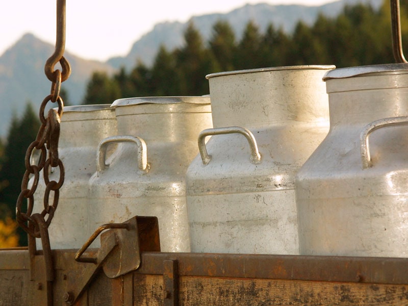 Debatte über Richtpreise bei Bio-Milch - BIO AUSTRIA